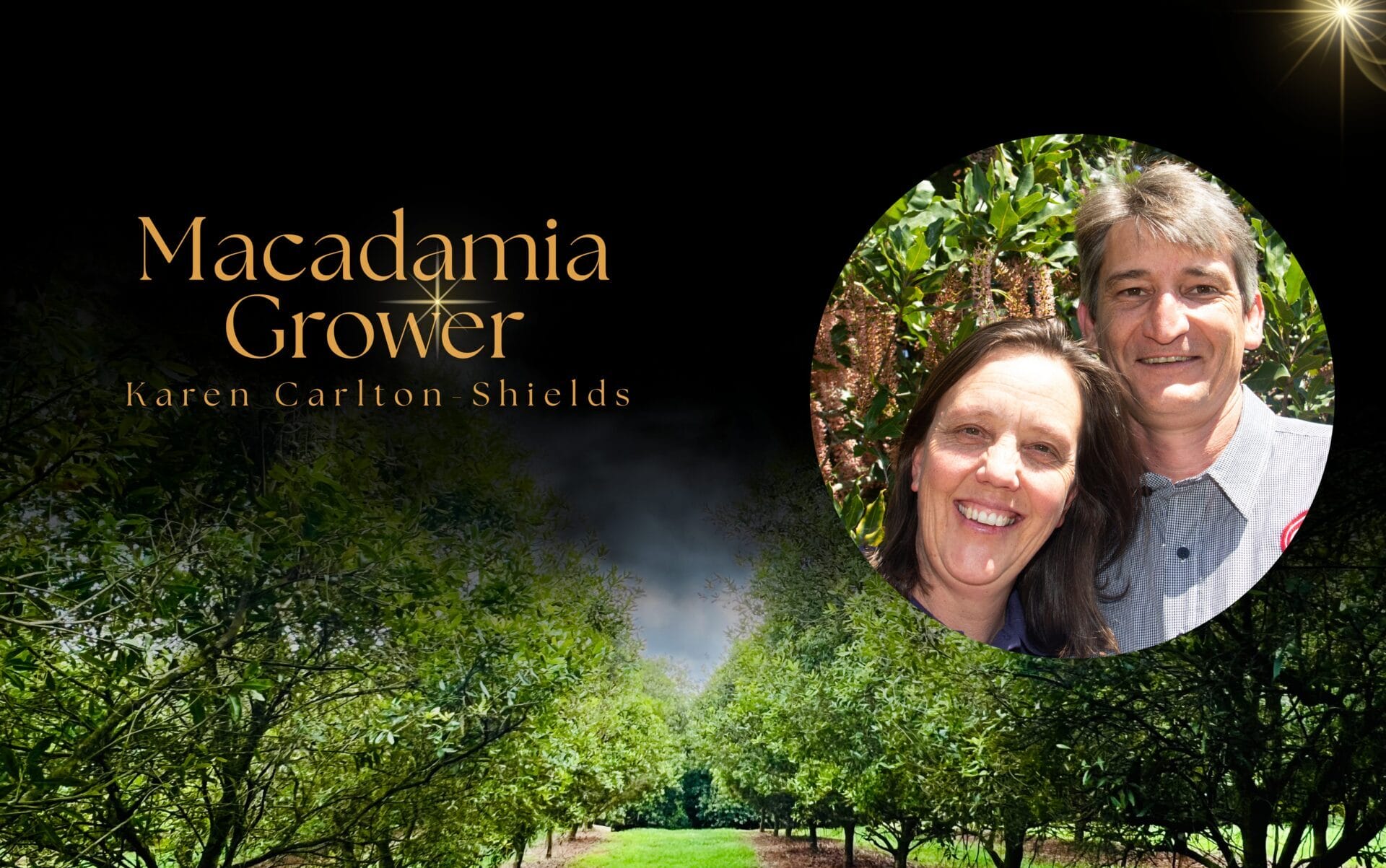 Macadamia nut prices rebound worldwide - SAMAC